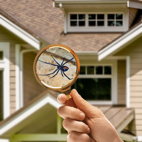 Progressive Pest Control in Hoschton, GA