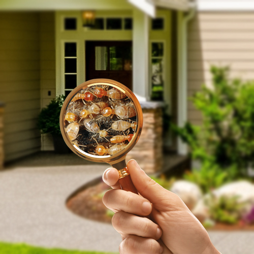 Progressive Pest Control in Hoschton, GA