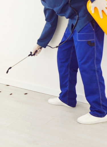Reliable Pest Control Services | Call Us 706-654-2730